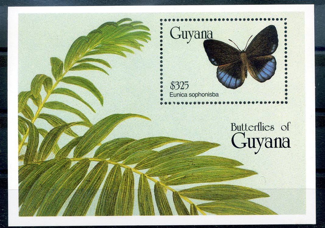 467252) blocco Guyana 425 **, farfalle