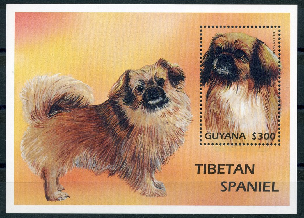 467513) Guyana Blocco 549 **, cani, Tibet-Spaniel