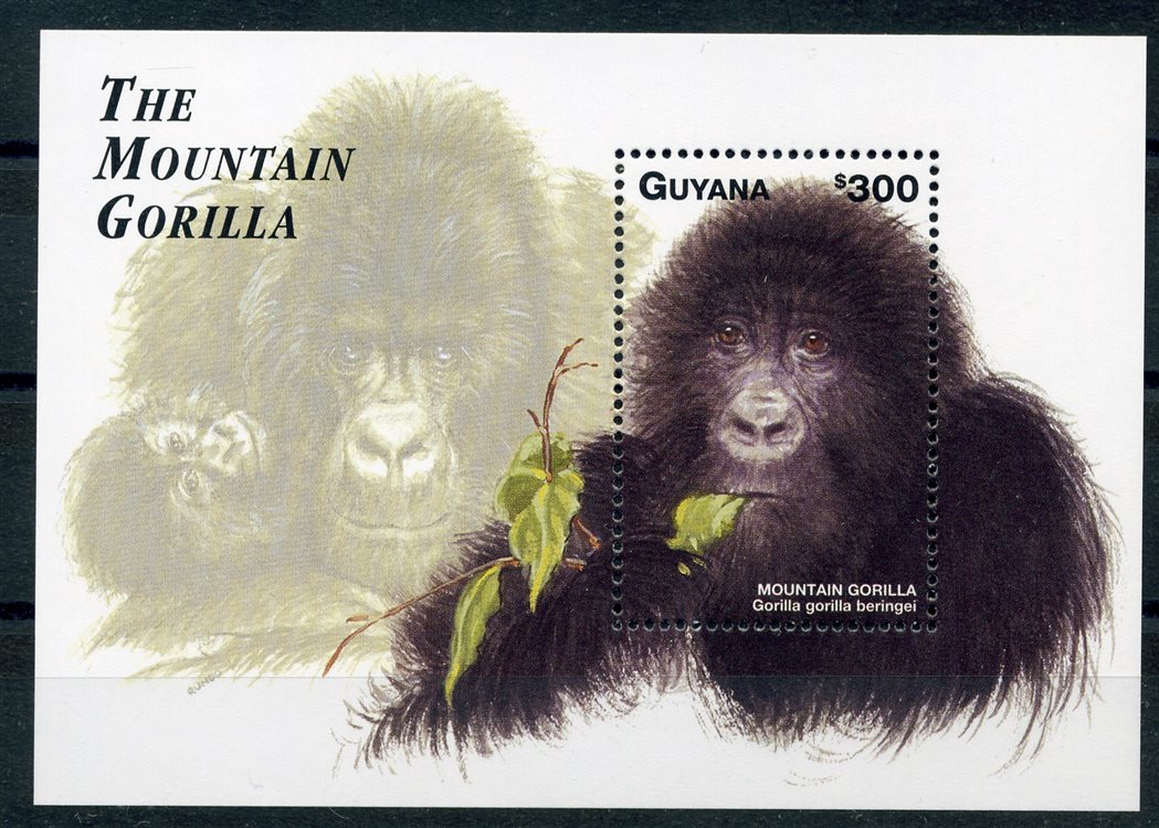 467573) Guyana Blocco 566 **, scimmia, gorilla di montagna