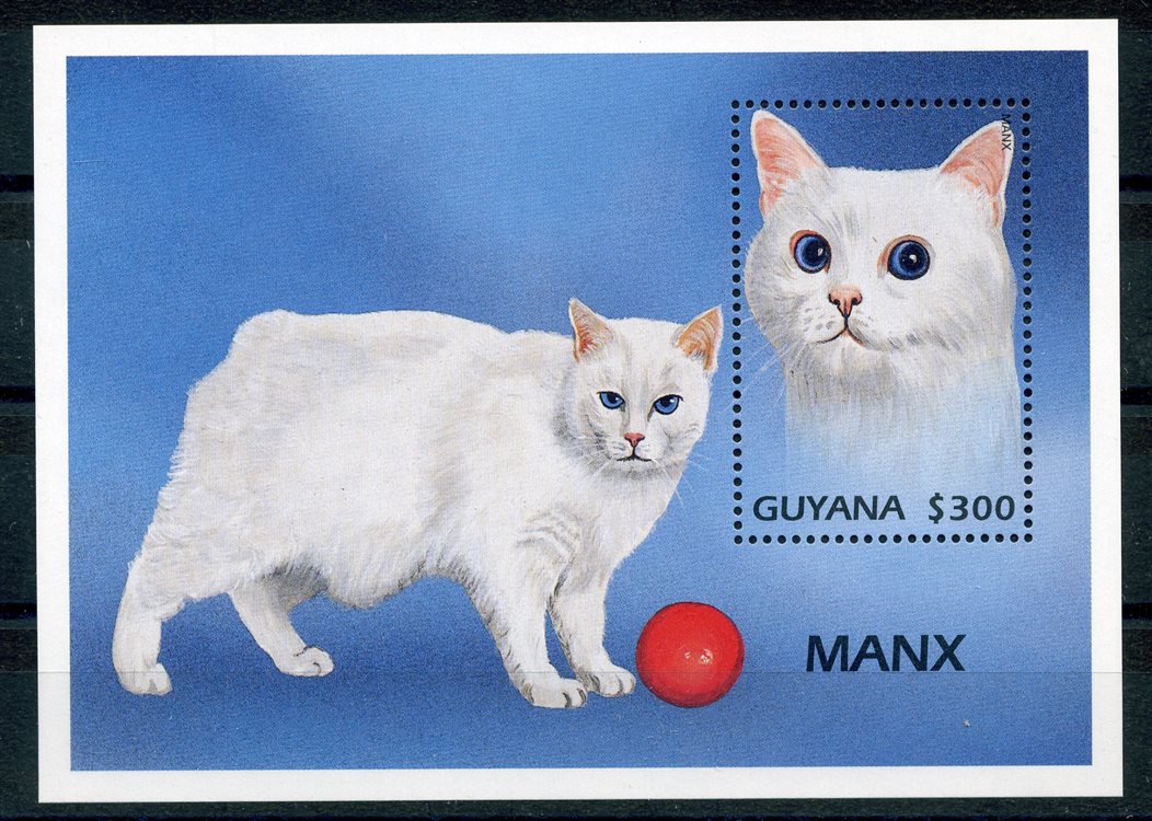 467506) Guyana Block 548 **, Gatti