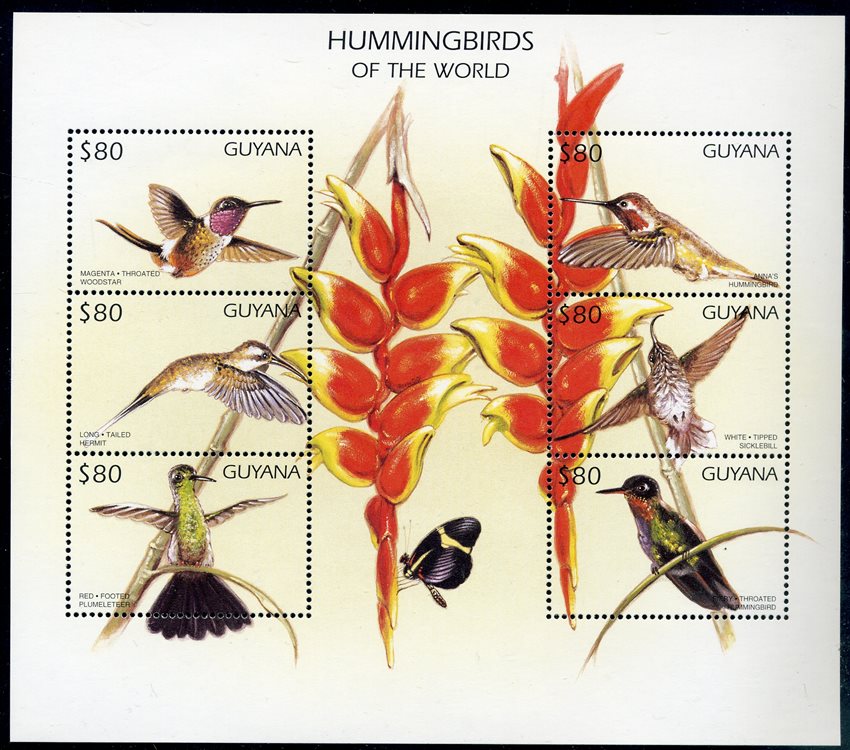 467519) Arco piccolo Guyana n. 6068-6073 **, uccellini, colibrì